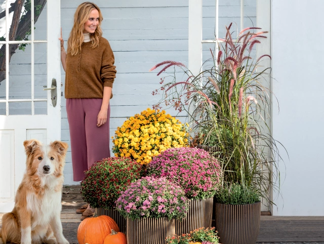 Dehner Garten-Center | Gartencenter in Stuttgart