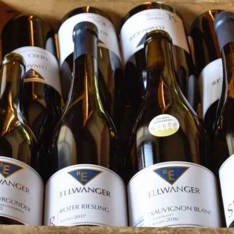 Weingut Bernhard Ellwanger GbR | Weingut in Weinstadt